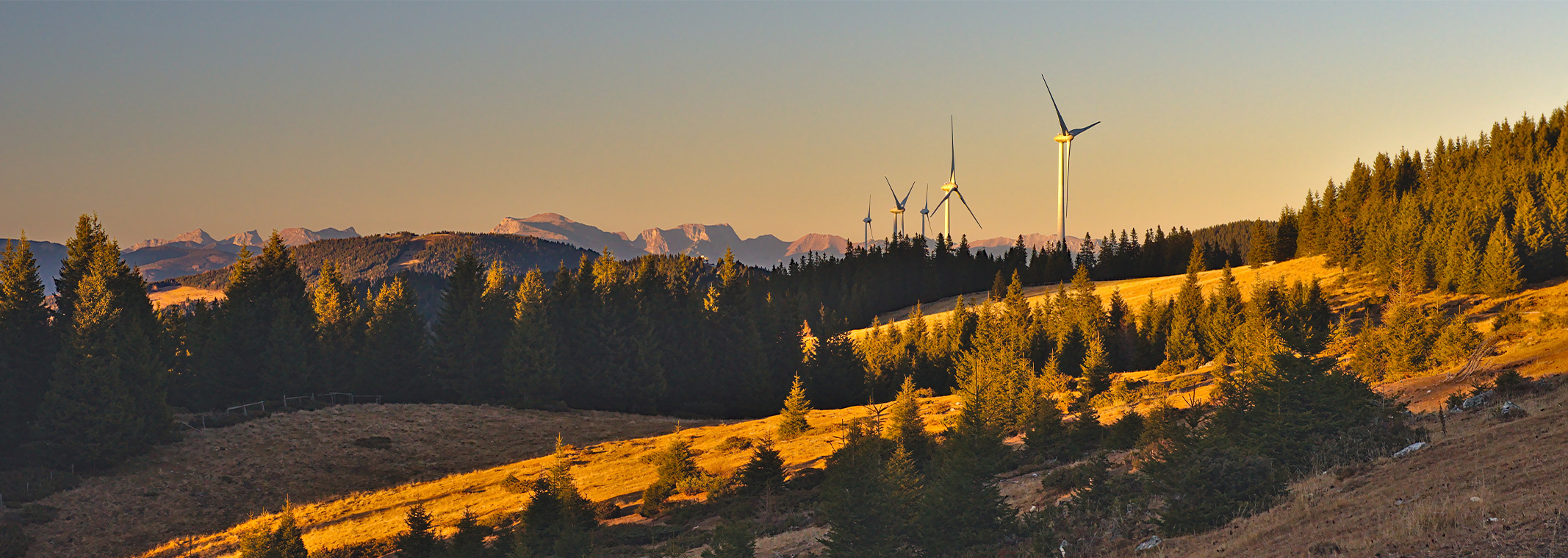 TGRC Limited t/a The Green Recruitment · Green Recruitment Company